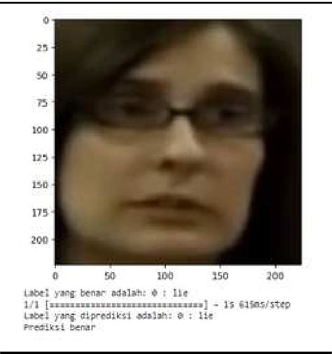 figure 1 from vgg 16 and vgg 19 architecture models in lie detection using image processing