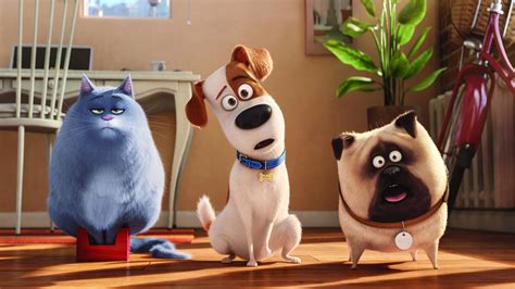 Animals In Secret Life Of Pets At Beth Heard Blog