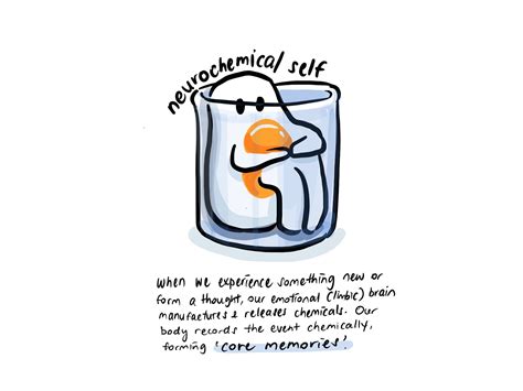 Egg Soup By Evangeline Ng On Dribbble