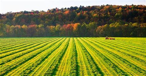 One Of The Provisions Of The Inflation Reduction Act Is Intended To… Comiskey And Company Pc