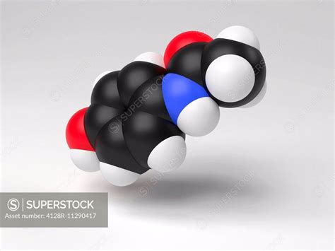 Paracetamol Molecule Computer Artwork Showing The Structure Of A Molecule Of The Drug