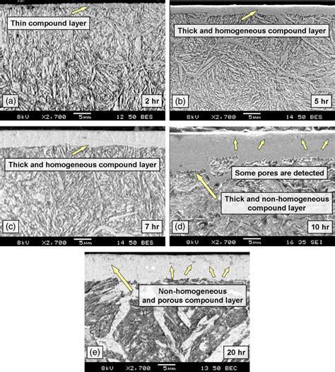 Cross Section Microstructure Obtained By Sem From Samples Download Scientific Diagram
