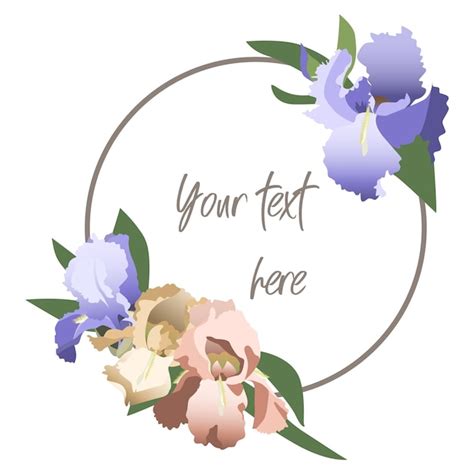 Iris Border Vectors And Illustrations For Free Download