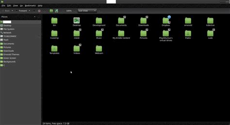 Linux Mint Why Do Programs Run With Sudo Not Have System Theme Applied Unix And Linux Stack