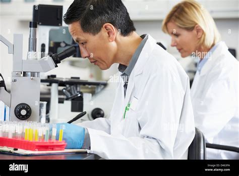 Male And Female Scientists Using Microscopes In Laboratory Stock Photo Alamy