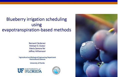 Blueberry Irrigation Scheduling Using Evapotranspiration Based Methods