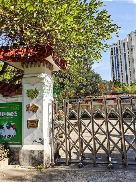 现状曝光如今的麒麟山动物园竟然 三明 改造 笼舍