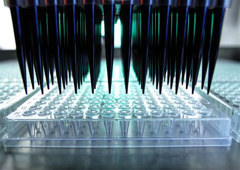Trends In Sample Preparation Part Ii Sample Considerations And Techniques