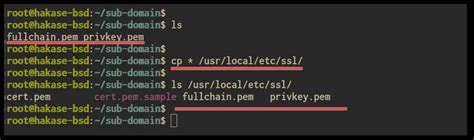 How To Install Proftpd Ftp Server On Freebsd