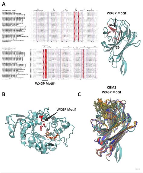 Sequence And Structure Similarity Search Analysis Over Carbohydrate
