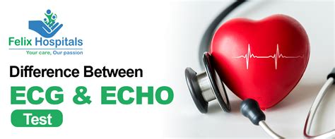 Echocardiogram Vs Electrocardiogram Difference