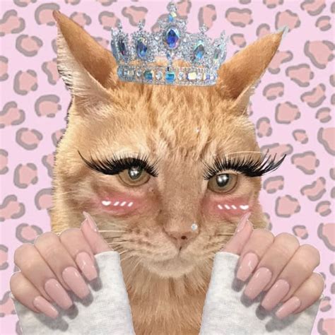 咲 Owomeme • Threads Say More