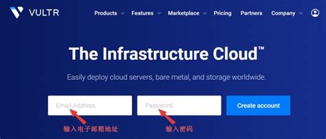 Vultr服务器创建详细步骤（图文教程） The Tower Info