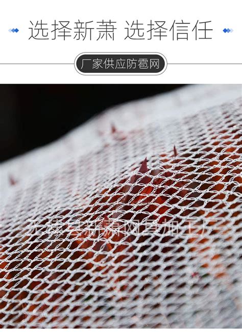 【防雹网】工厂现货供应果树防雹网果园防护防冰雹网葡萄防雹网 阿里巴巴