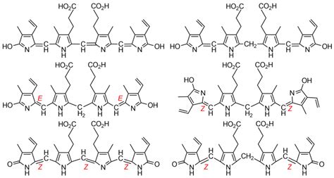 Insights Into The Structures Of Bilirubin And Biliverdin From Vibrational And Electronic