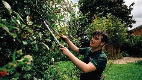 Horticulture Apprenticeships Bca College Berkshire