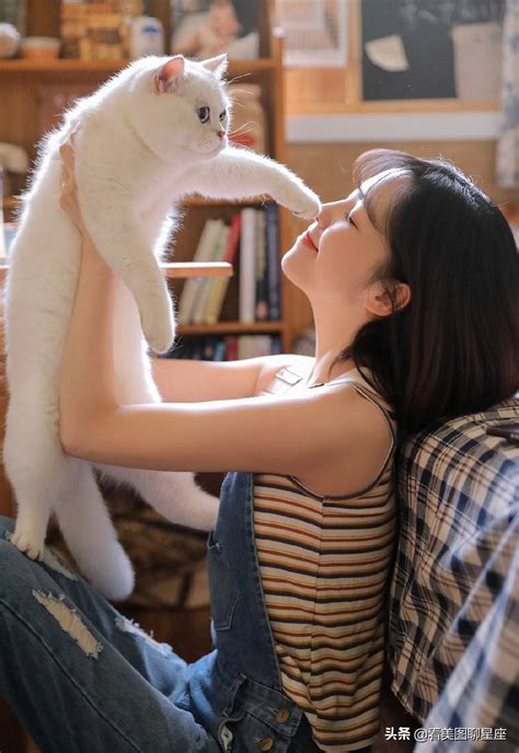 居家撸猫的可爱少女唯美写真图片集，猫和人选一个 搜狐大视野 搜狐新闻
