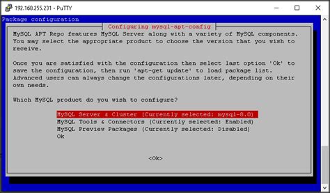 Installing MySQL DB On Debian 11 DPC Virtual Tips