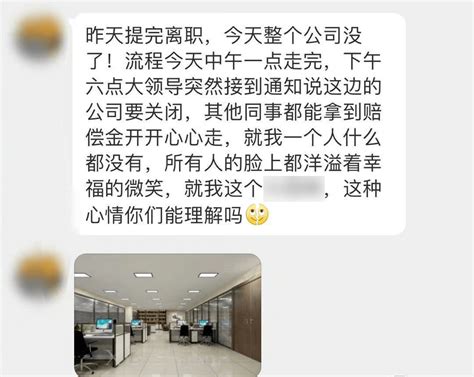 提完离职后公司突然倒闭了，别的同事都拿到赔偿金，而我什么都没有！楼主hr网友