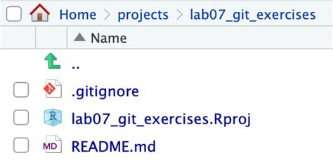 R For Bio Data Science Lab Collaborative Bio Data Science Using GitHub Via RStudio