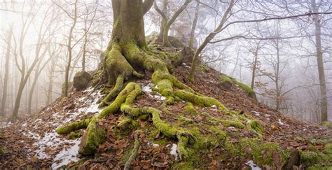 david kaspar photographer youpic