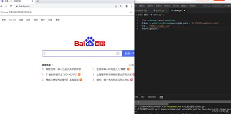 Python Chrome Drivers Status Code Was解决方法unexpectedly Exited Status Code Was 24暗碳的博客 Csdn博客