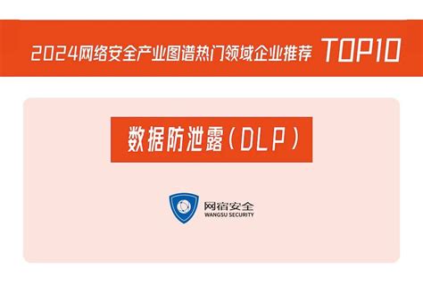 网宿安全入选“数据防泄露 Dlp）top 10企业” 防护 方案 场景