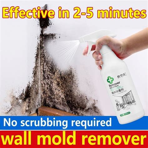 Wall Mold Remover Spray Mildew Removal Anti Mold Spray Fungus Removal