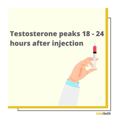 When Does Testosterone Peak After Injection Lindy Health