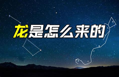 中国人为什么对龙情有独钟？ 安森垚 安森垚 哔哩哔哩视频