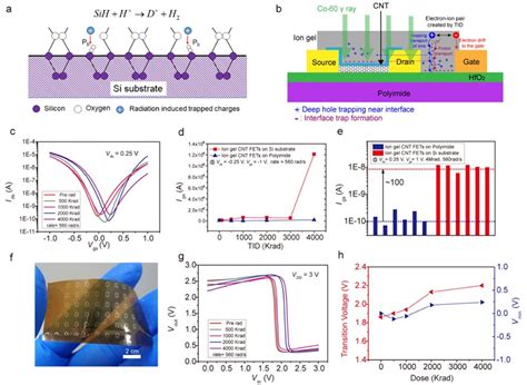 电子学系张志勇 彭练矛课题组在辐照加强碳纳米管集成电路研究中取得重要进展 北京大学电子学院