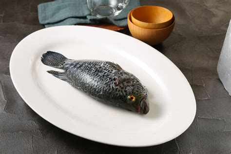 龙胆斑图片素材 龙胆斑设计素材 龙胆斑摄影作品 龙胆斑源文件下载 龙胆斑图片素材下载 龙胆斑背景素材 龙胆斑模板下载 搜索中心