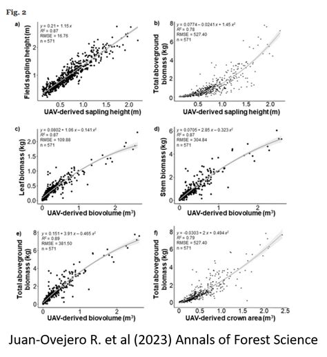 Estimation Of Aboveground Biomass And Carbon Stocks Of Quercus Ilex L Saplings Using Uav