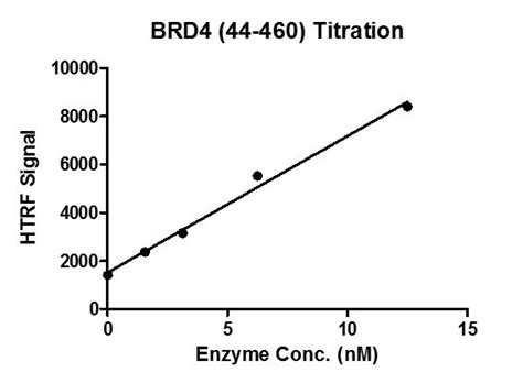 Recombinant Brd4 44 460 Protein Proteintech