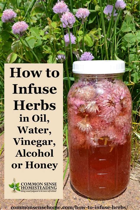 Home Food Preservation 10 Ways To Preserve Food At Home Artofit