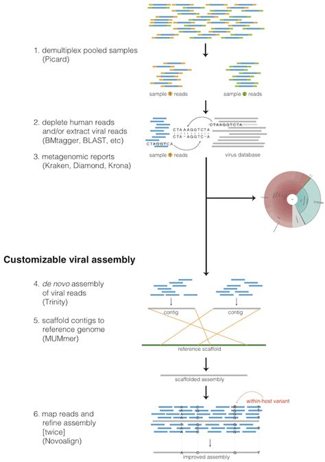 1 description of the methods — viral ngs v1 25 0 8 ge144969e documentation