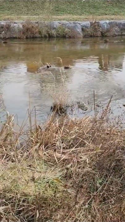 물 흐르듯 Youtube