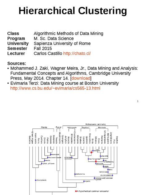 Hierarchical Clustering Class Program University Semester Lecturer