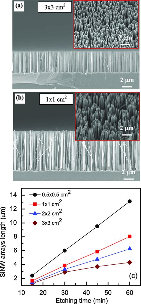 cross sectional sem images comparing the lengths of sinws prepared on