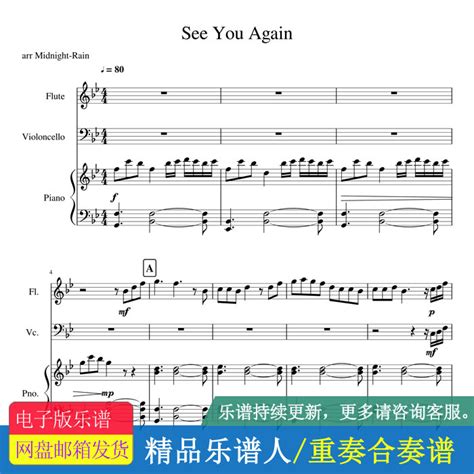长笛大提琴合奏曲谱 大提琴与长笛二重奏 大提网 第11页 大山谷图库