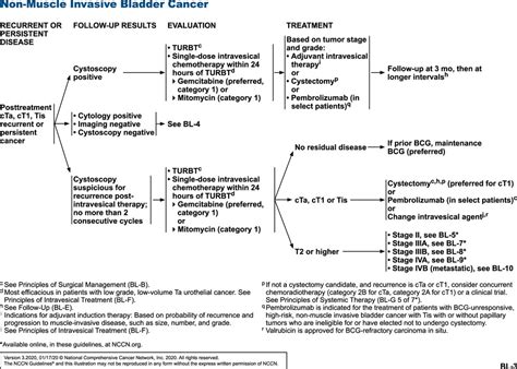 Bladder Cancer Version 3 2020 Nccn Clinical Practice Guidelines In Oncology In Journal Of The