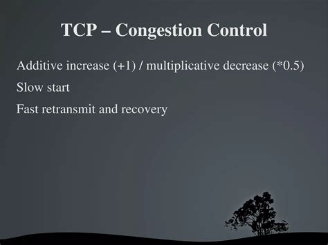 Congestion Control In Computer Networks Atm And Tcp Odp