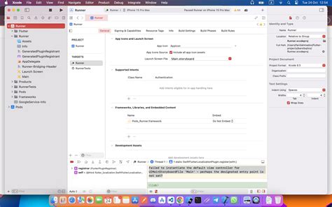 Swift How Can I Solve Perhaps The Designated Entry Point Is Not Set