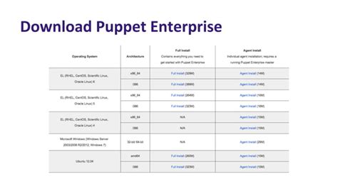 IT Automation With Puppet Enterprise PDF