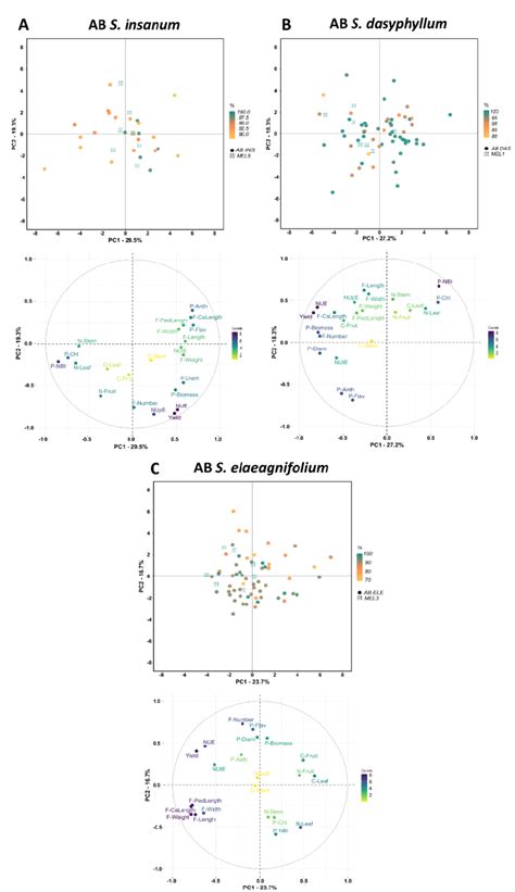 Pca Score Plot And Loading Plot Based On The Two First Principal Download Scientific Diagram Pca Score Plot And Loading Plot Based On The Two First Principal Download Scientific Diagram