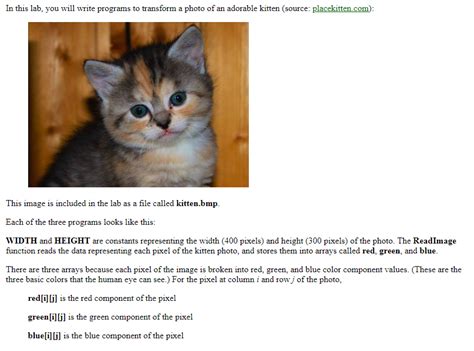 i need help programing these things in c if that cat