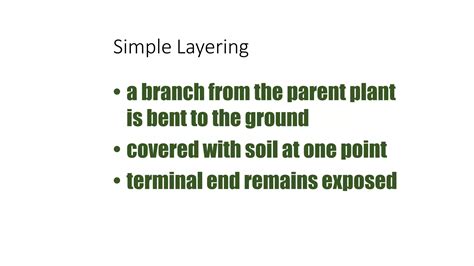 Layering Propagation PPTX