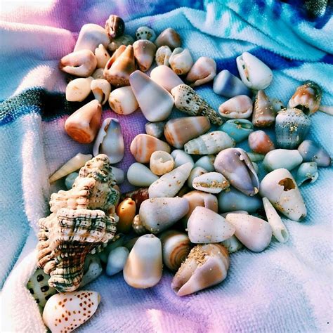 Поза морская Ракушка (66 фото) - 66 фото