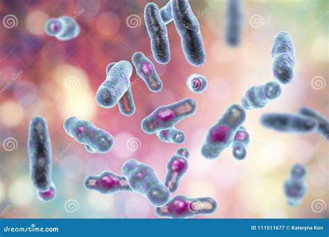 Clostridium Perfringens Bacteria Stock Illustration Illustration Of Health Fever 111511677