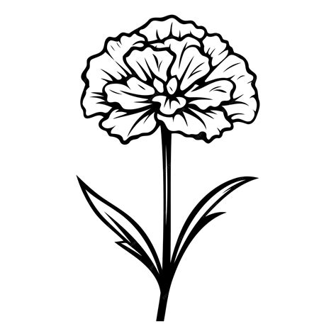 Simple Elegant Black And White Illustration Of A Carnation Flower